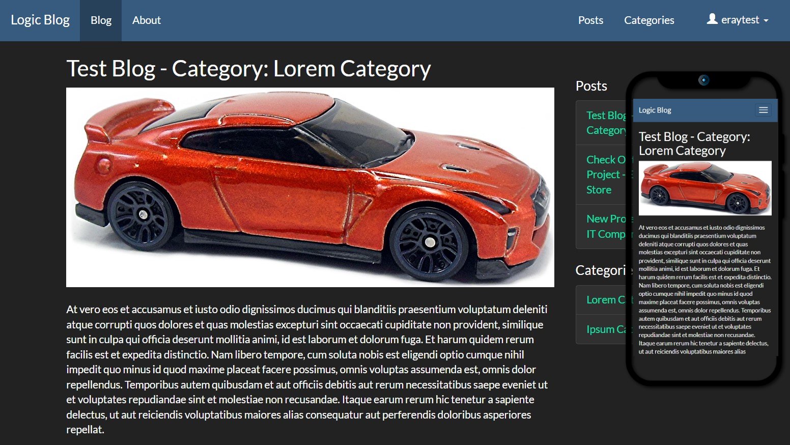 Eray Sahin - Web Developer